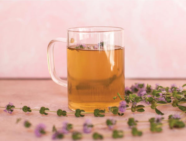POLEO MENTA FRESCA – Yoyo Tea